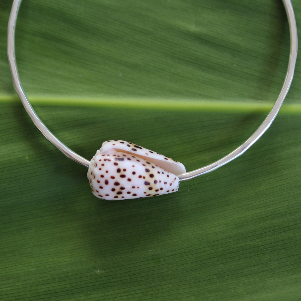 002 - Flea Cone – shelldump